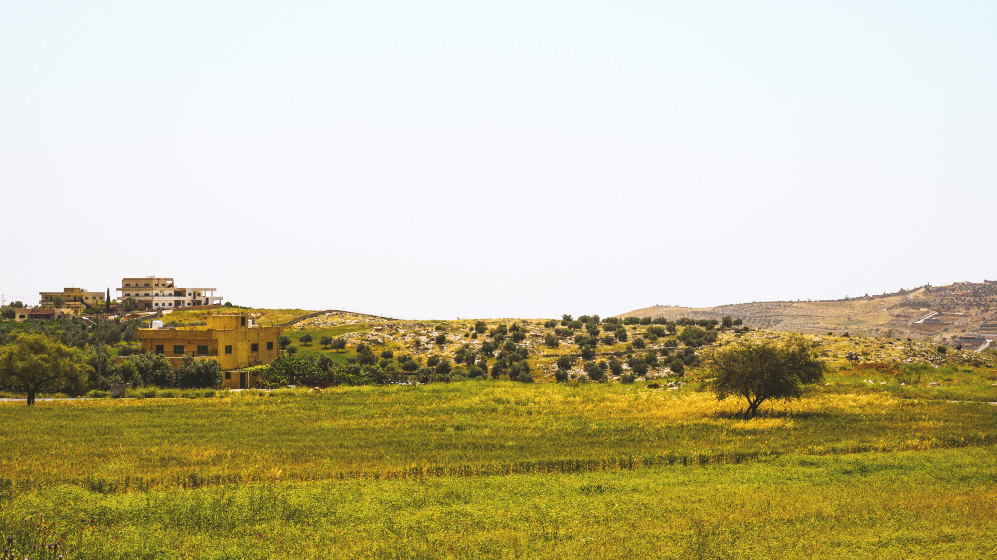 Architecture of Jordan: an insight with a local professional